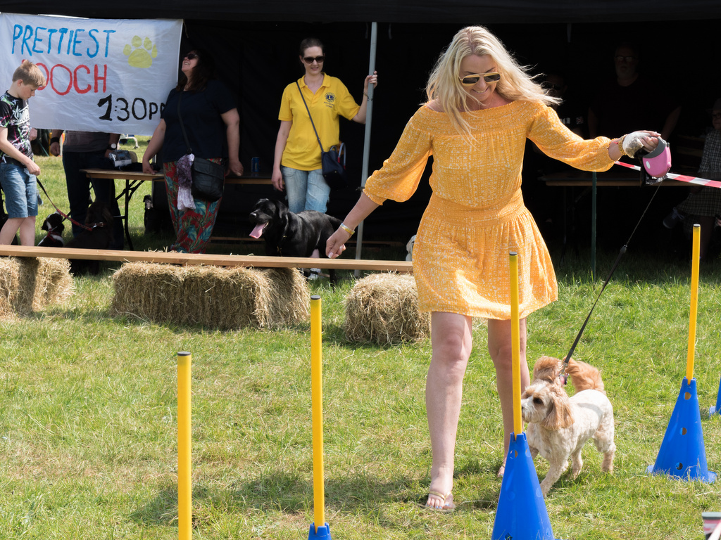 Dog Show Competitors 7 – Friends of The Heath